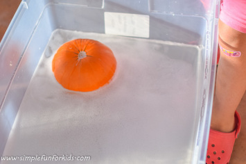 Pumpkin Washing - Simple Fun for Kids