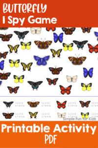 Printable I Spy Games for Kids - Simple Fun for Kids