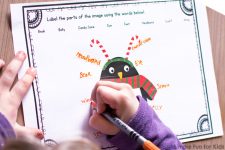 Winter Penguin Labeling Worksheet Printable - Simple Fun for Kids
