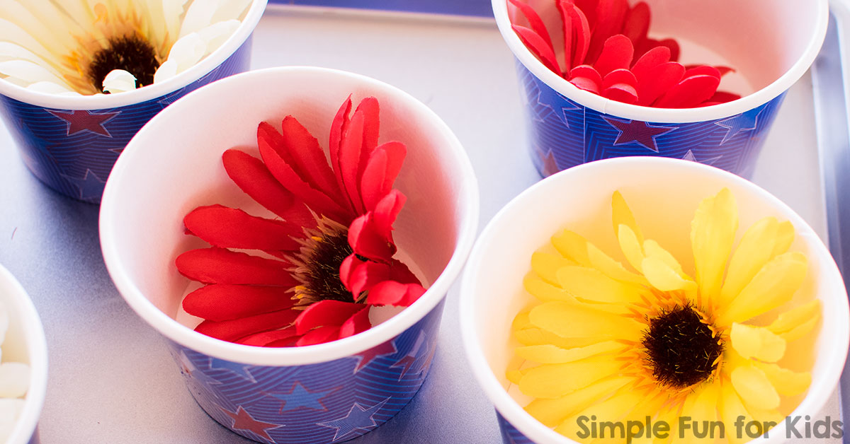 Invitation to Play with Cups and Flowers - Simple Fun for Kids